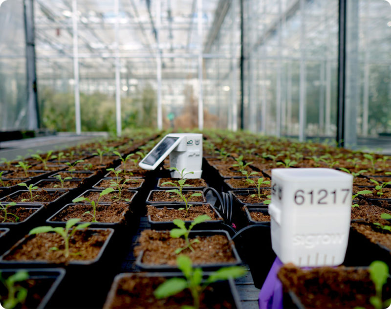 Products old – Sigrow.com