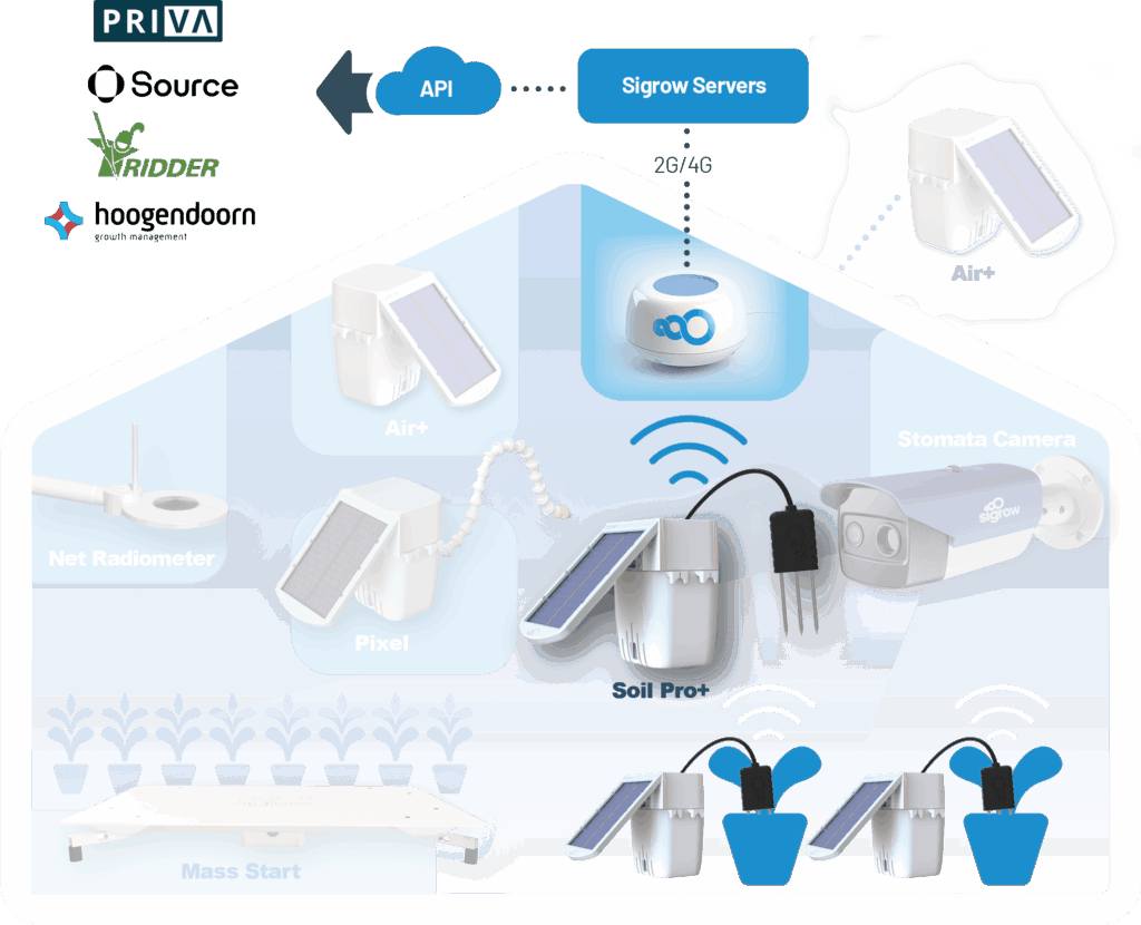 Soil Pro+ New – Sigrow.com