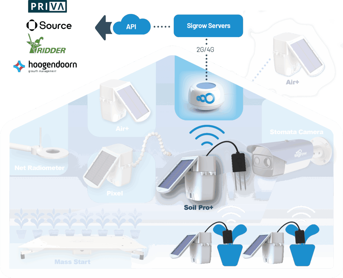 Soil Pro+ New – Sigrow.com